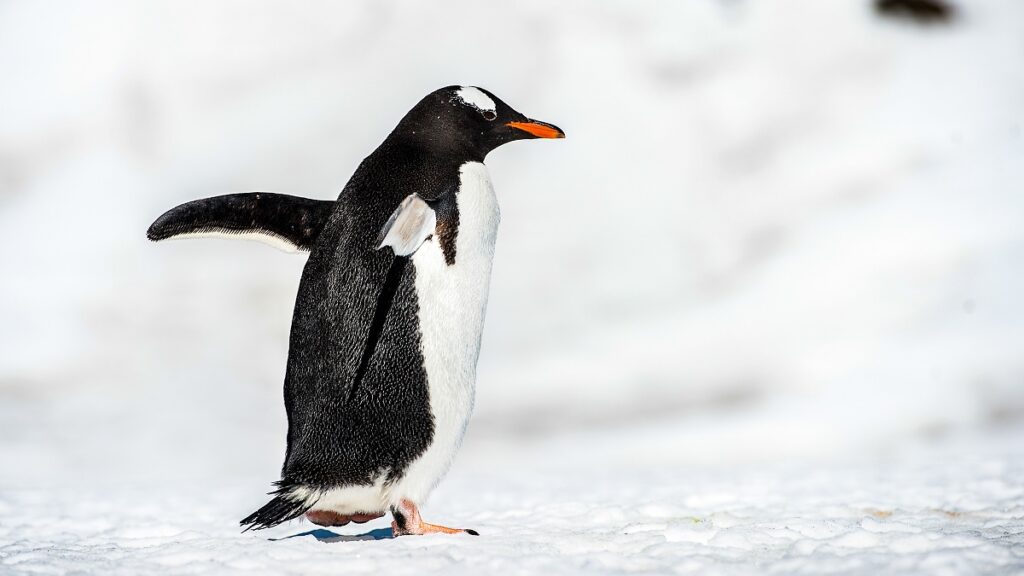 【Linux】「/etc/shadow」ファイルとは？ - Yukitomo Blog 2nd